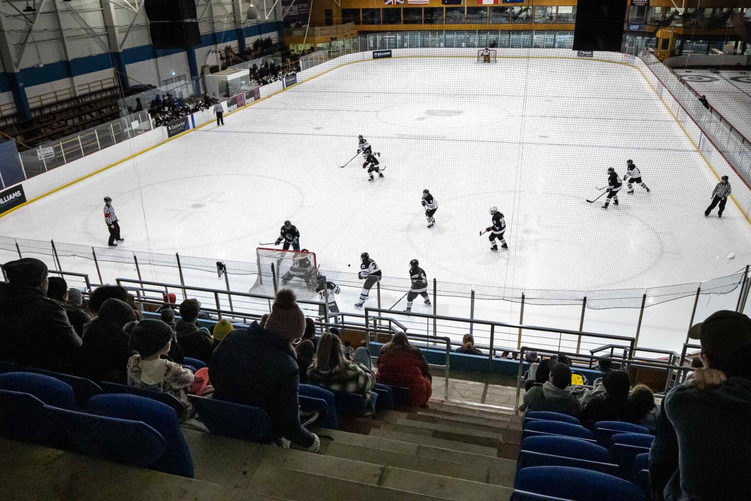 Concussion Policy - Ice Hockey New Zealand