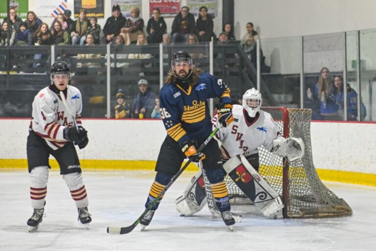 NZIHL Semi-Final Series 2 – Botany Swarm vs. Pure NZ West Auckland ...